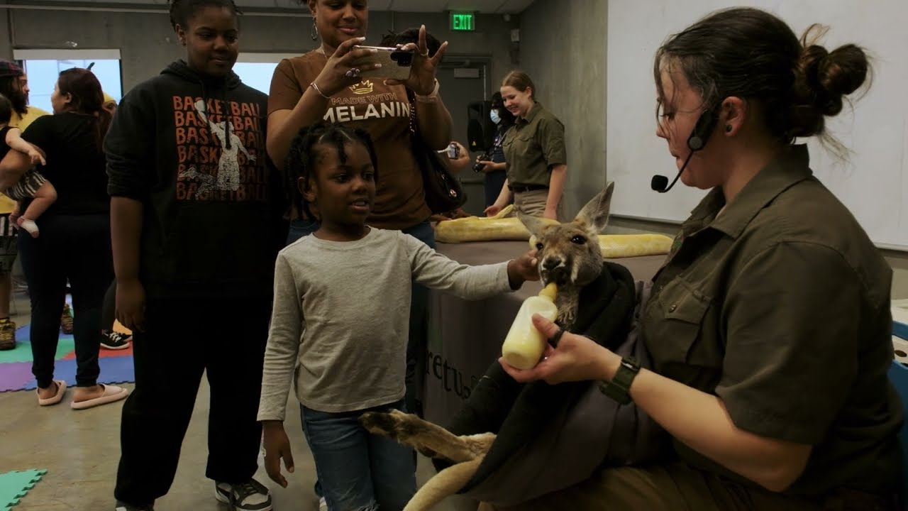 The Creature Teacher in the Community