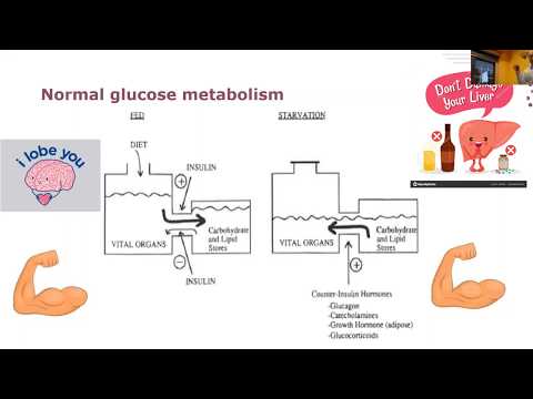 CDE Preparation Video- Pathophysiology- February 9th