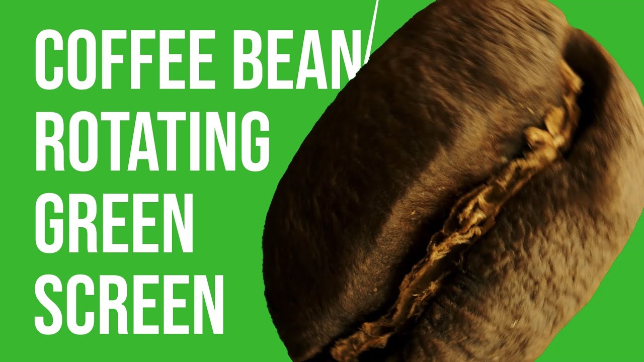 Closeup Coffee Bean Rotating on Green Screen Background | HD | FREE DOWNLOAD