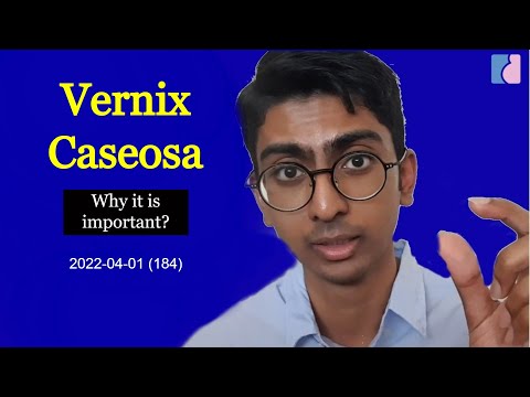 Birthing Custard or Vernix Caseosa: Why is it important? - Antai Hospitals