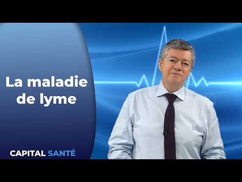 La maladie de lyme - 2 minutes pour comprendre