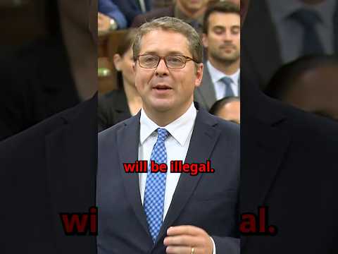 Andrew Scheer GRILLS Liberals on BANNING Gas-Powered Vehicles | June 18, 2025