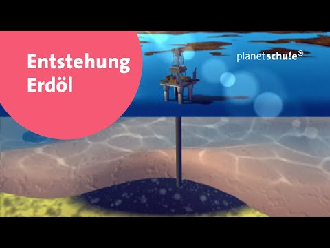 How is petroleum formed? - The multitalented petroleum | Planet School