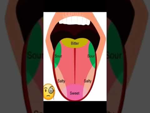 Different parts of tongue taste differently