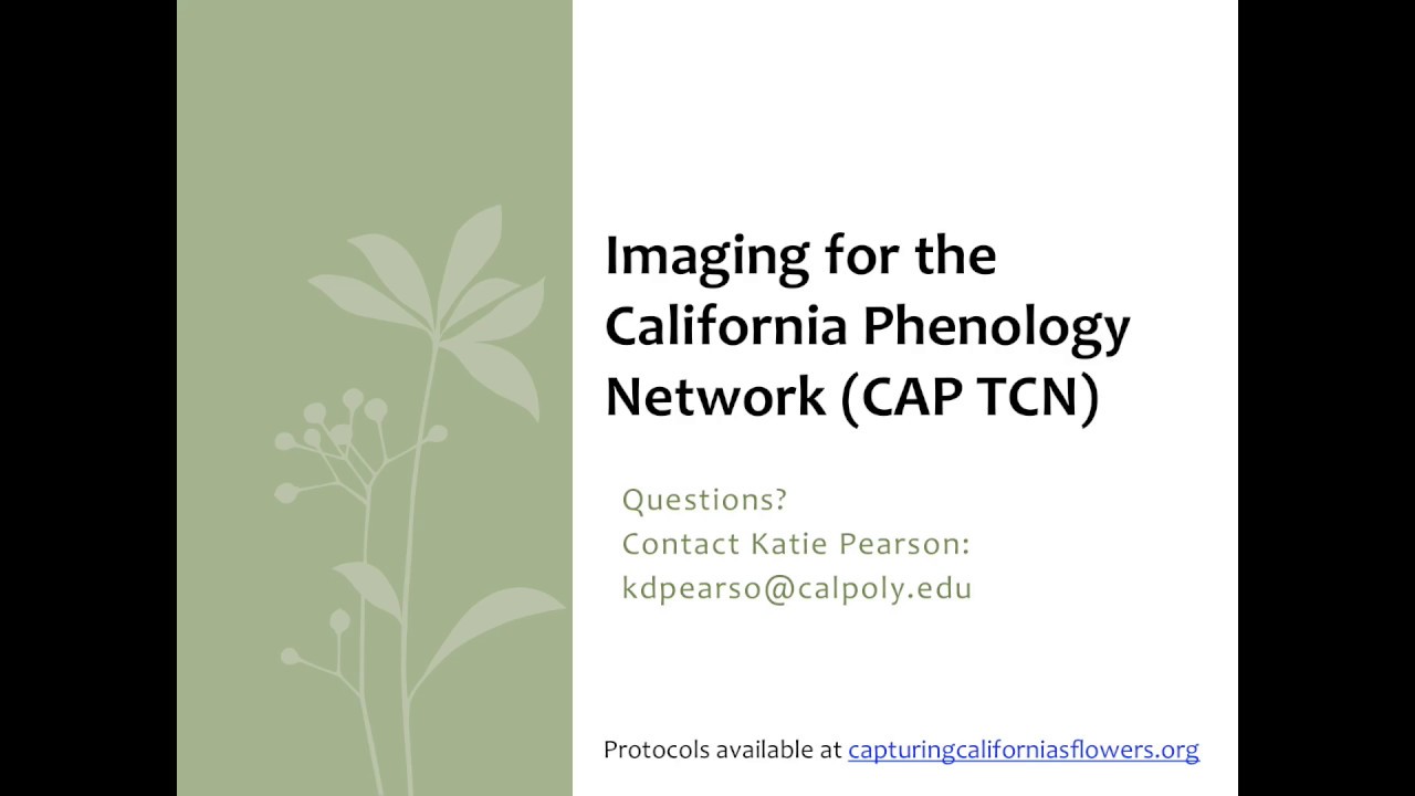 Imaging herbarium specimens for the CAP TCN: Version 1 (Smart Shooter 3)