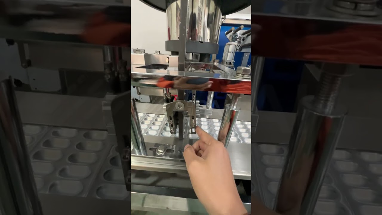 See the vibration feeder of DPP-150 blister packaging machine