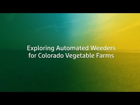 Exploring Automated Weeders for Colorado Vegetable Farms