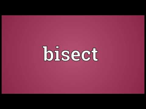 Bisect Meaning