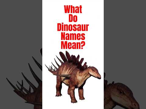 What do dinosaur names mean? EP6 #dinosaur #shorts #makeforkids #whatdodinosaurnamesmean