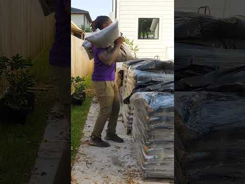 Stop wasting money when filling raised beds | garden transformation | Hugelkultur