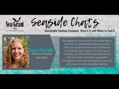 Seaside Chats - Sustainable Seafood Explained: What It Is and Where to Find It