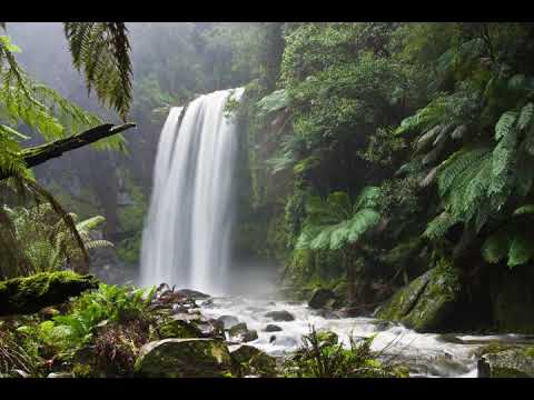 Natural environment | Wikipedia audio article