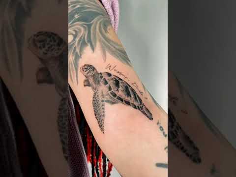 #shorts Turtle Tattoo Inspo
