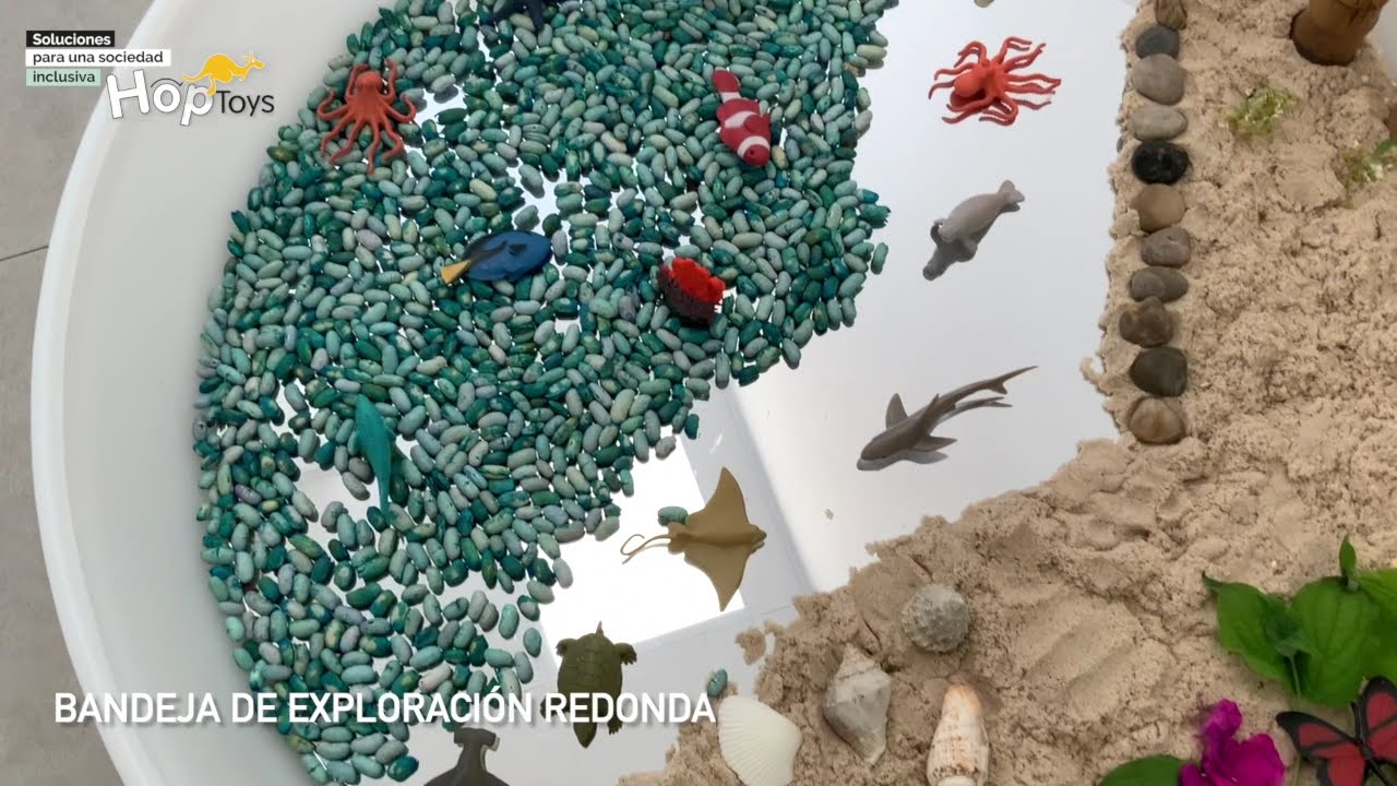 Bandeja de exploracion redonda