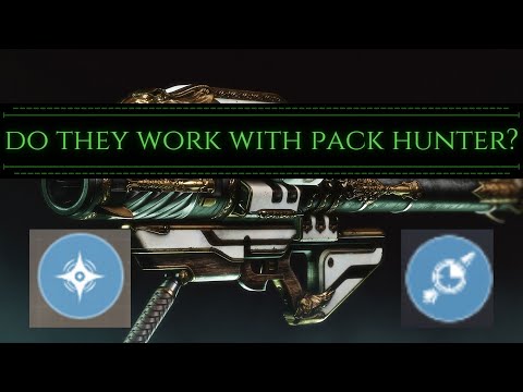 Steam Community :: Video :: Destiny 2 | Gjallarhorn's Pack Hunter with ...