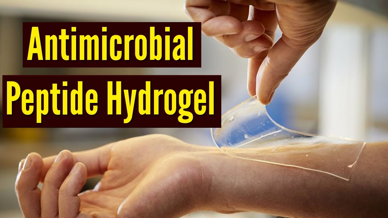 New material to treat wounds can protect against resistant bacteria | Antimicrobial Peptide Hydrogel