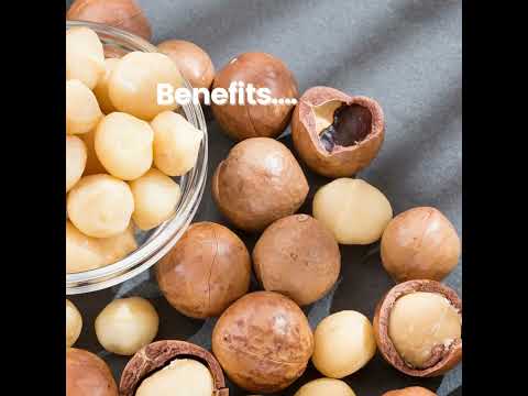 Macadamia Nuts - Wholesale Price & Mandi Rate for Macedonia Nuts