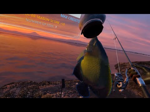 Catching the EPIC Semicircle Angelfish in Real VR Fishing, Japan DLC, part 1