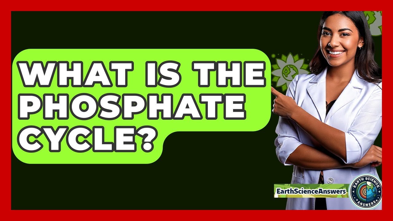 What Is The Phosphate Cycle? - Earth Science Answers