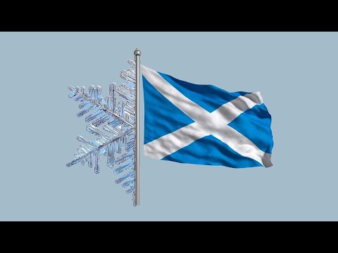 fact : Scotland has 421 words for " snow "