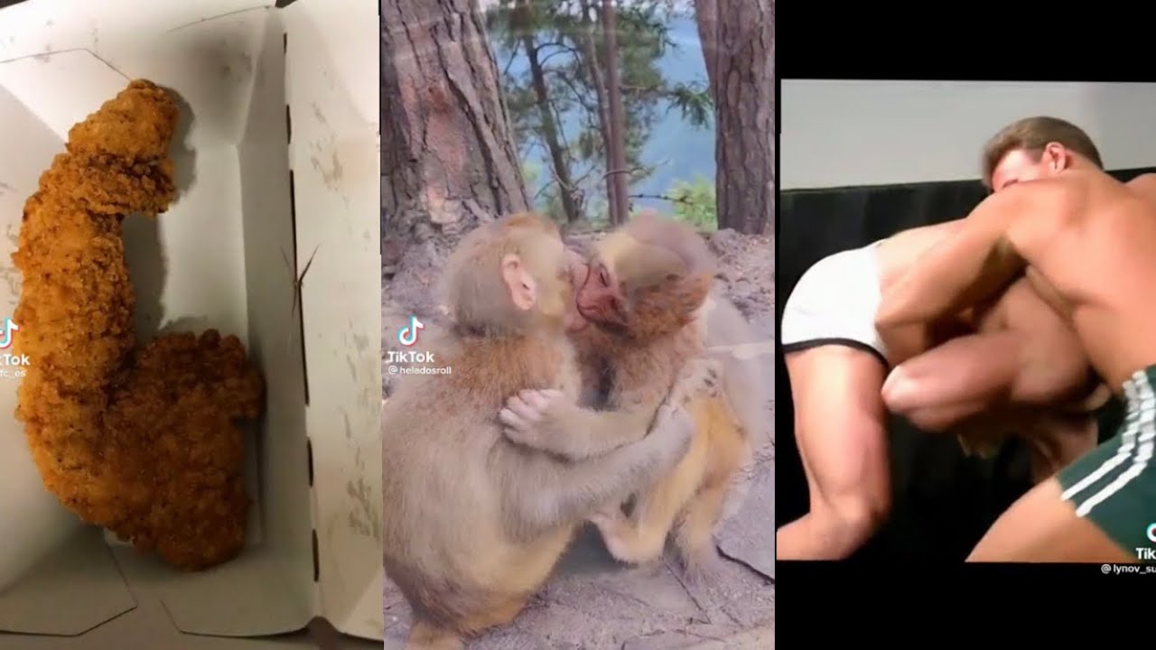Neverita Bad Bunny Meme Compilation
