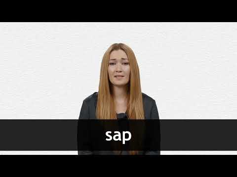 SAP definition and meaning | Collins English Dictionary