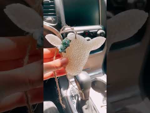 How to make a car freshie!