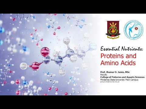 Proteins and Amino Acids