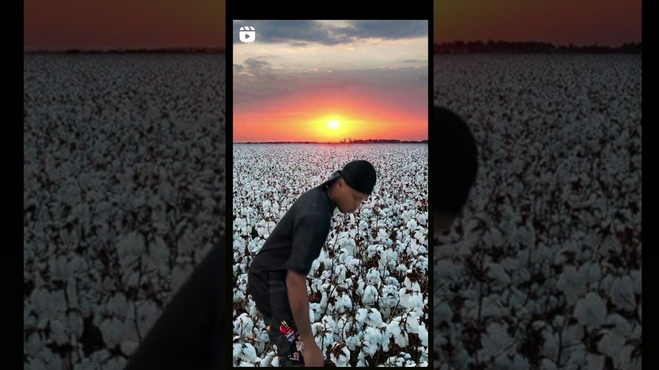 esclavo #slavery #black #esclavos #humor #humornegro