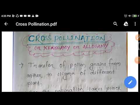 Cross pollination