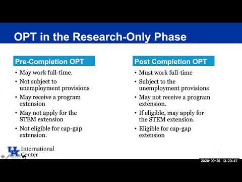 OPT Training: The Basics