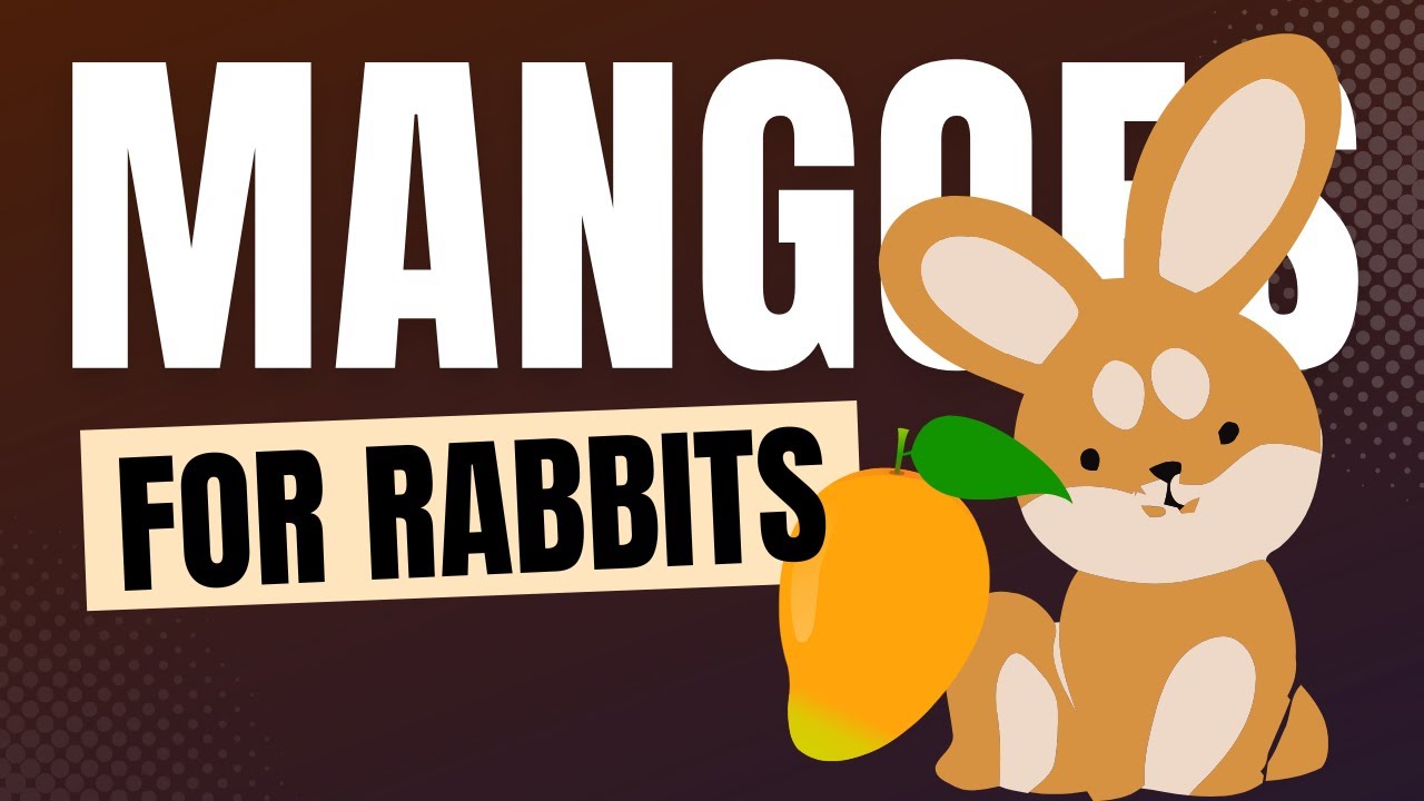 Can Rabbits Eat Mangoes? Is It Healthy?
