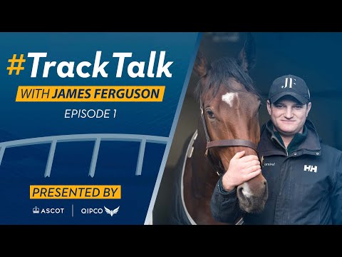 What is a trainer? - #TrackTalk presented by Ascot and QIPCO