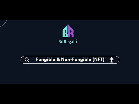 What are Fungible and Non-Fungible Tokens (NFTs)