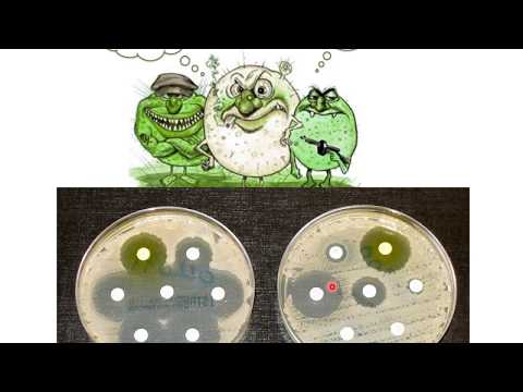 Natural Selection examples