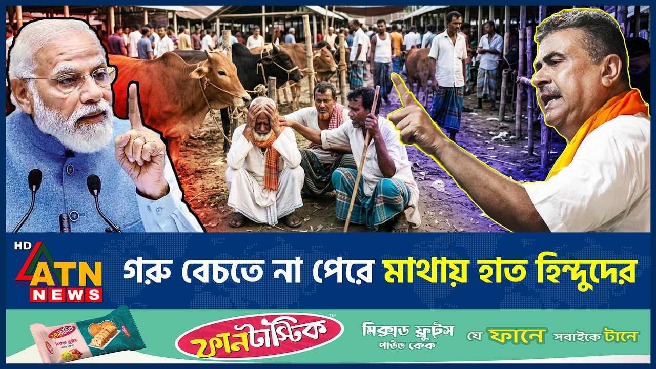 ভারতে গরু কিনছেনা মুসলিমরা, মাথায় হাত হিন্দু ব্যবসায়ীদের | Indian Cow | Hindu Traders | ATN News
