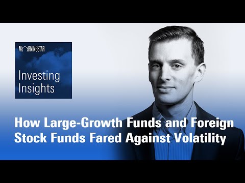 Investing Insights: How Large-Growth Funds and Foreign Stock Funds Fared Against Volatility