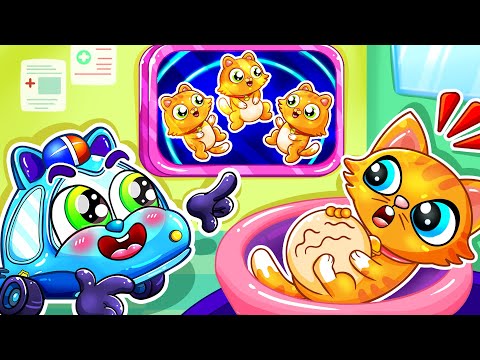 My Kitty Got Pregnant Song????| Pet Care Song | Pets Song For Kids And More | LaLiLu - Kids Songs