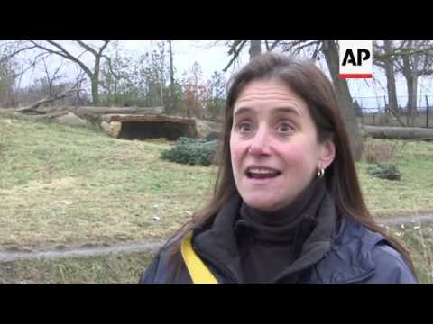 Detroit Zoo Animals Celebrate Valentine's Day
