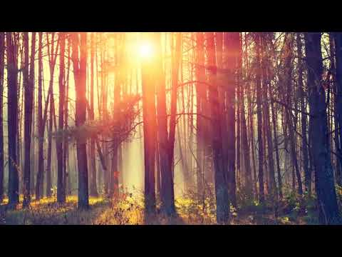 A Good Fantasy Audiobook Series - Book 5 - Full