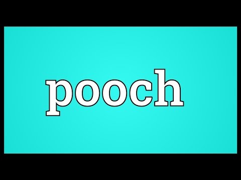 Pooch Meaning