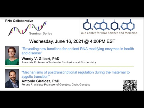 RNA Collaborative Seminar - Yale Center for RNA Science and Medicine - June 16, 2021