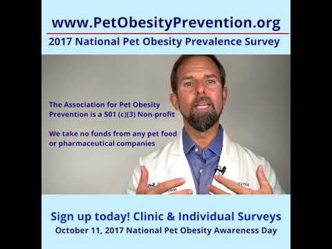 Veterinary Clinics, We Need Your Help!