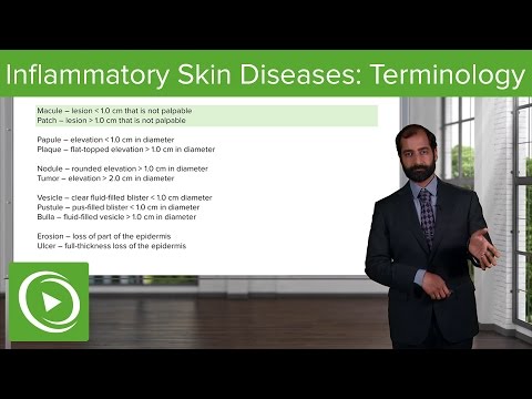 Inflammatory Skin Diseases: Terminology – Pathology | Lecturio