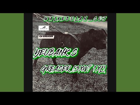 YEUBANK'S CH GREASER (3XW/ 1XL)