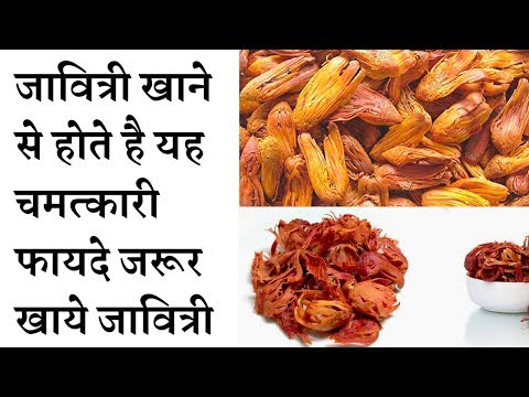 Amazing Health Benefits Of Mace Spice Javitri जावित्री खाने के फायदे