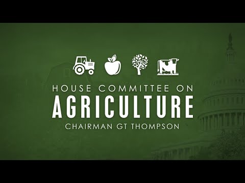 RE: “TO CONSIDER H.R. 3633, DIGITAL ASSET MARKET CLARITY ACT OF 2025”