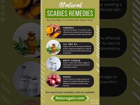 Scabies Treatment at Home: Effective Home Remedies🌿😲 #shorts