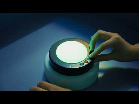 Questify Quizroom Leuven