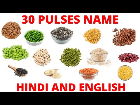 PULSES AND LENTILS NAME WITH PICTURES IN HINDI AND ENGLISH | दाल के नाम हिंदी और अंग्रेजी में |